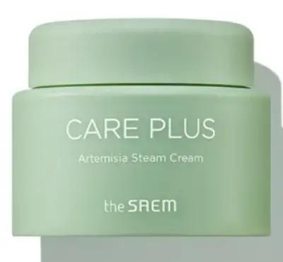 the saem Care Plus Artemisia Steam Cream 100ml | 8806164180334 ...